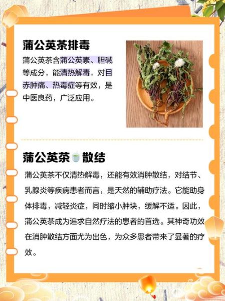 长期喝蒲公英茶的作用_蒲公英茶能天天喝吗-第1张图片-山城妙识 长期喝蒲公英茶的作用_蒲公英茶能天天喝吗-第1张图片-山城妙识