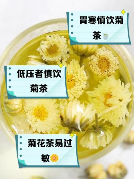 怀菊花泡水喝的功效与禁忌_怀菊花适合什么人喝-第2张图片-山城妙识