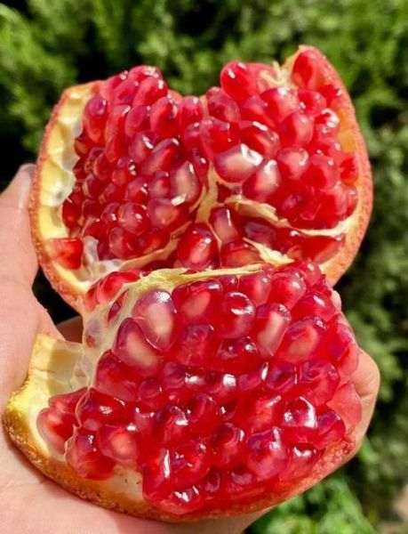 石榴怎么吃_石榴籽能不能吃-第3张图片-山城妙识