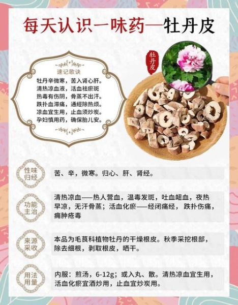 牡丹皮的功效与作用_牡丹皮怎么泡水喝-第1张图片-山城妙识