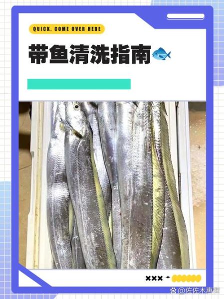 冷冻带鱼段怎么清洗_带鱼段去腥处理技巧-第2张图片-山城妙识 冷冻带鱼段怎么清洗_带鱼段去腥处理技巧-第2张图片-山城妙识
