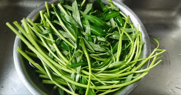 空心菜怎么炒不发黑_炒空心菜不变黑的秘诀-第3张图片-山城妙识 空心菜怎么炒不发黑_炒空心菜不变黑的秘诀-第3张图片-山城妙识