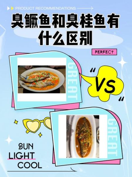 臭桂鱼和臭鳜鱼有什么区别_臭鳜鱼是不是桂鱼-第1张图片-山城妙识