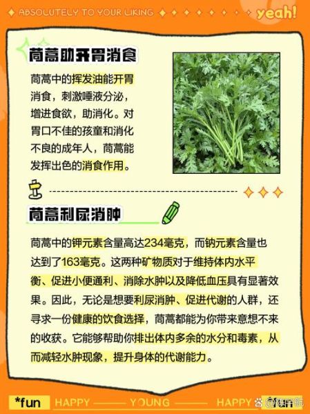 茼蒿的功效与作用_茼蒿的禁忌有哪些-第1张图片-山城妙识