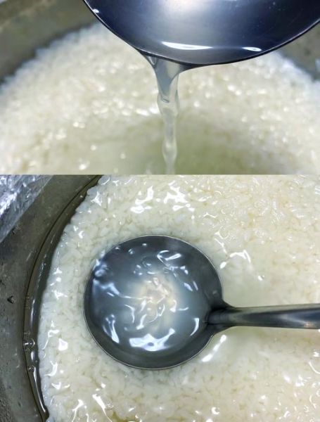 酸奶机做甜酒酿的做法窍门_甜酒酿失败原因-第1张图片-山城妙识 酸奶机做甜酒酿的做法窍门_甜酒酿失败原因-第1张图片-山城妙识