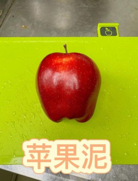 苹果泥可以和米粉一起吃吗_婴儿辅食搭配指南-第3张图片-山城妙识