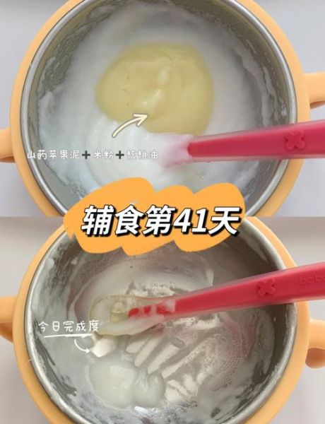 苹果泥可以和米粉一起吃吗_婴儿辅食搭配指南-第2张图片-山城妙识
