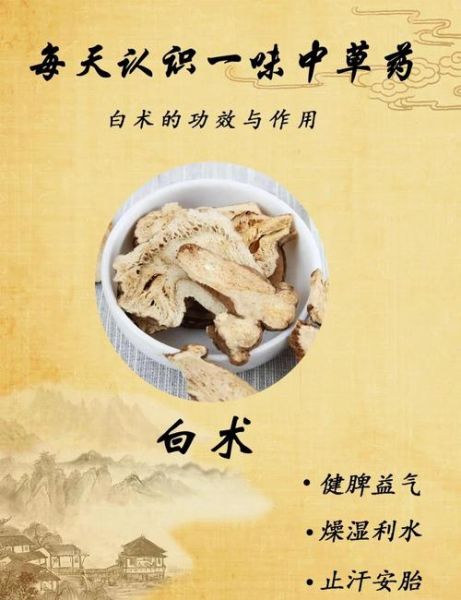 白术的功效与作用_白术的禁忌人群-第3张图片-山城妙识