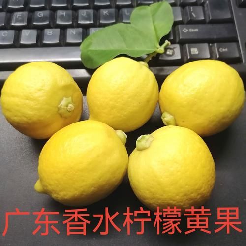 香水柠檬好还是黄柠檬好_哪个更适合做饮品-第1张图片-山城妙识