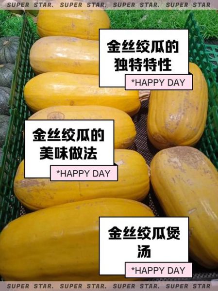 金丝瓜的做法_金丝瓜的功效与作用-第2张图片-山城妙识