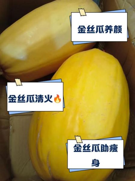 金丝瓜的做法_金丝瓜的功效与作用-第3张图片-山城妙识