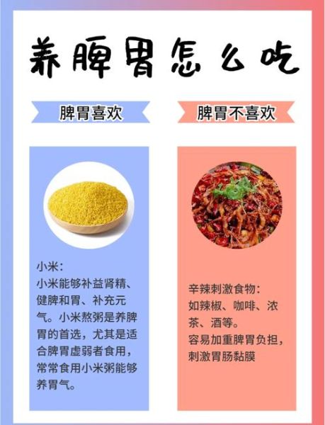 怎么养胃_吃什么食物好-第3张图片-山城妙识