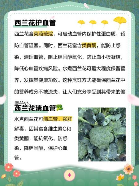 水煮西兰花能减肥吗_水煮西兰花有什么营养价值-第1张图片-山城妙识