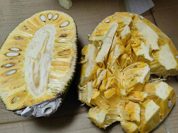 菠萝蜜怎么剥皮_菠萝蜜剥皮视频教程-第1张图片-山城妙识