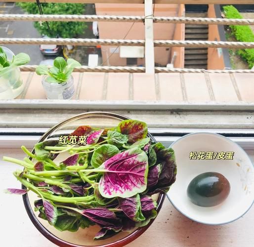 苋菜皮蛋汤怎么做_苋菜皮蛋汤做法大全-第1张图片-山城妙识