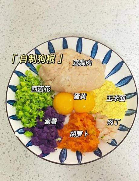 自制狗粮怎么保存_能放多久-第1张图片-山城妙识