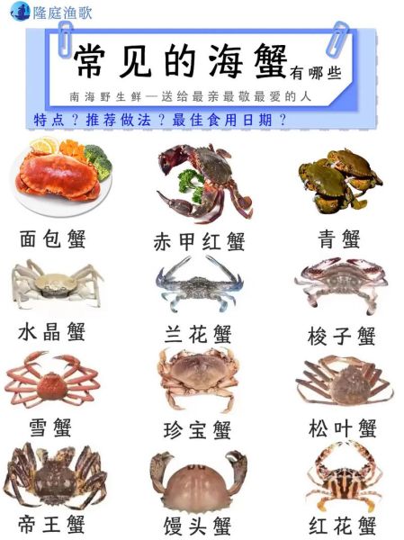海里螃蟹的种类有哪些_如何区分常见海蟹-第1张图片-山城妙识