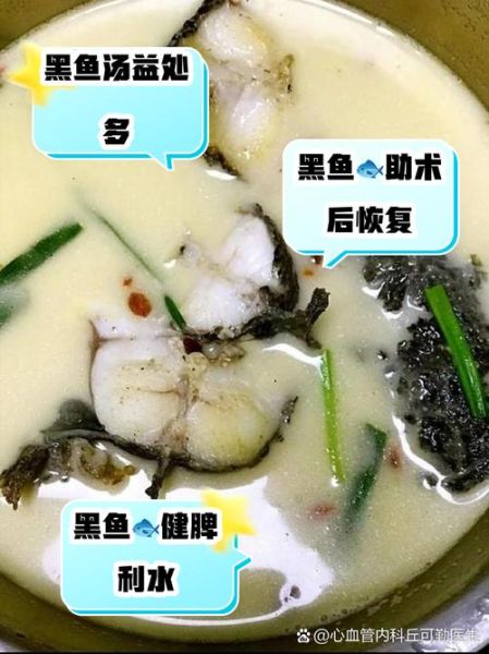 黑鱼汤怎么做最有营养_黑鱼汤孕妇能喝吗-第3张图片-山城妙识
