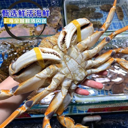 珍宝蟹怎么杀_珍宝蟹处理步骤-第1张图片-山城妙识