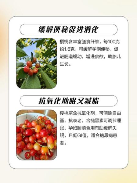 孕妇可以吃樱桃吗_孕妇吃樱桃的好处与禁忌-第1张图片-山城妙识