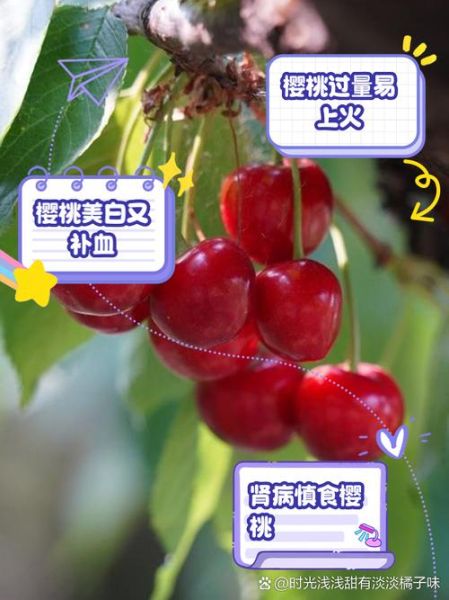 孕妇可以吃樱桃吗_孕妇吃樱桃的好处与禁忌-第2张图片-山城妙识