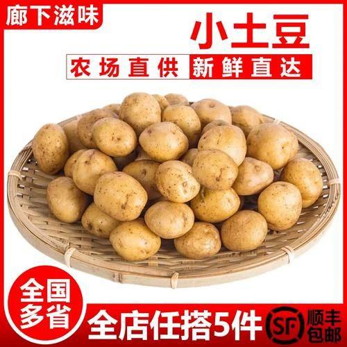 洋山芋图片_洋山芋和土豆的区别-第3张图片-山城妙识