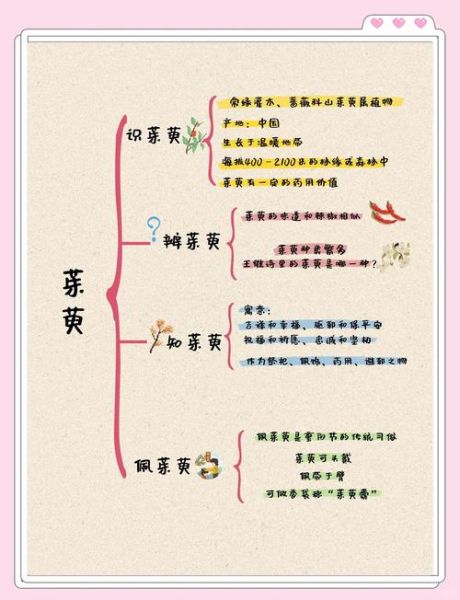 重阳节插茱萸的寓意是什么_茱萸辟邪传说由来-第2张图片-山城妙识