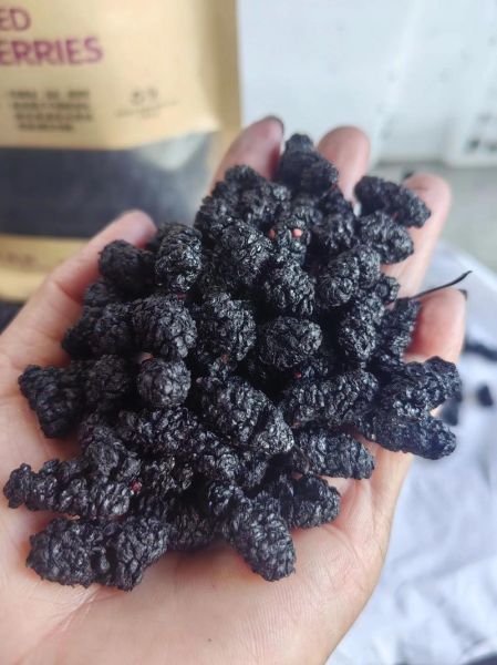 桑葚干多少钱一斤_桑葚干价格为什么差别大-第1张图片-山城妙识