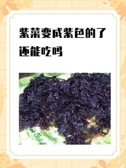 长期吃紫菜有害处吗_紫菜吃多了有什么副作用-第1张图片-山城妙识