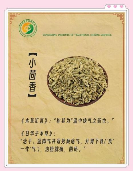 小茴香的功效与作用及禁忌_哪些人不能吃小茴香-第1张图片-山城妙识 小茴香的功效与作用及禁忌_哪些人不能吃小茴香-第1张图片-山城妙识