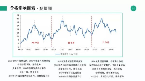 生猪期货行情走势图2021_如何看懂-第2张图片-山城妙识
