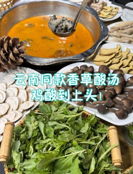 酸汤鸡火锅怎么做_酸汤鸡火锅底料配方-第2张图片-山城妙识