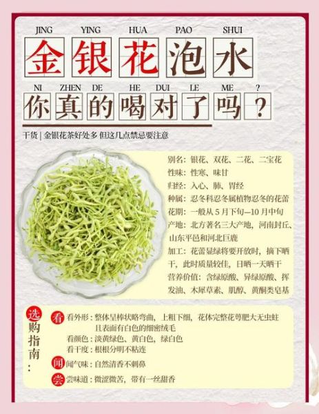 金银花泡水喝的禁忌_金银花副作用有哪些-第1张图片-山城妙识
