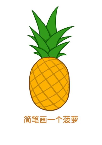 菠萝怎么画简笔画_菠萝简笔画步骤图解-第1张图片-山城妙识
