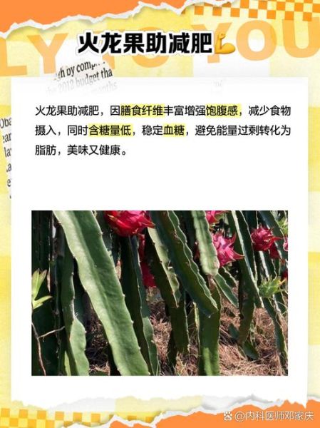 女人吃火龙果有什么好处_女人吃火龙果能减肥吗-第3张图片-山城妙识