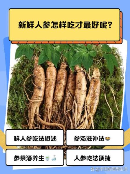 人参怎么吃效果最好_人参的正确吃法-第3张图片-山城妙识 人参怎么吃效果最好_人参的正确吃法-第3张图片-山城妙识