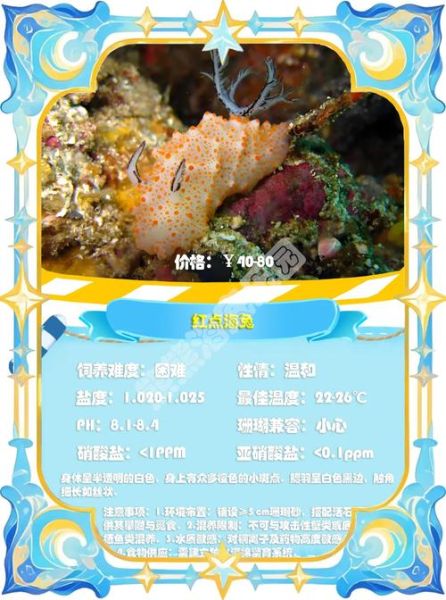 海兔的营养价值_海兔的功效与作用-第1张图片-山城妙识 海兔的营养价值_海兔的功效与作用-第1张图片-山城妙识