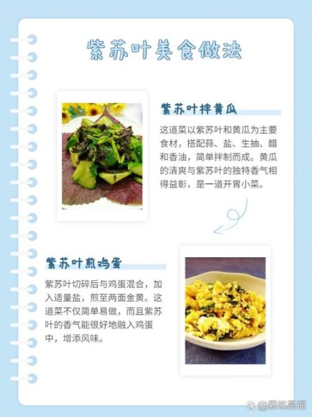 紫苏叶怎么吃_紫苏叶的家常做法-第1张图片-山城妙识