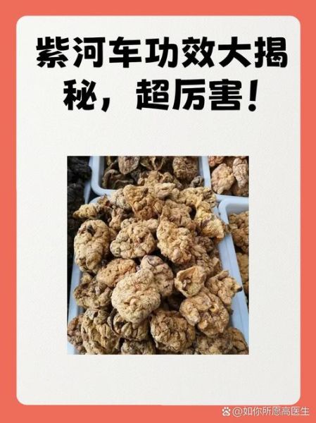 紫河车是什么_紫河车功效与作用-第1张图片-山城妙识