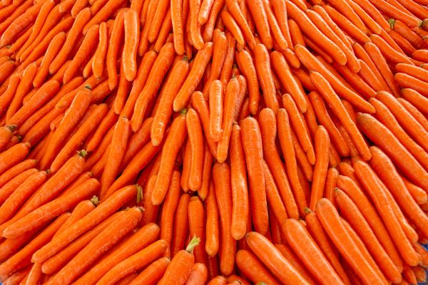 红萝卜图片大全大图_红萝卜怎么挑最新鲜-第2张图片-山城妙识