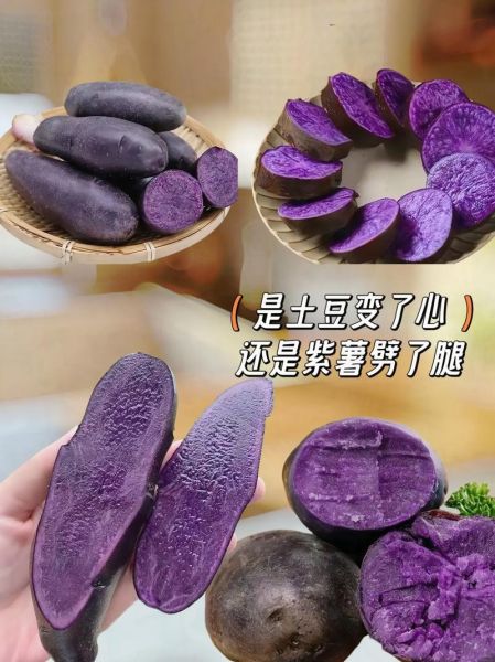 黑土豆产地在哪里_黑土豆哪里产的最好-第2张图片-山城妙识 黑土豆产地在哪里_黑土豆哪里产的最好-第2张图片-山城妙识