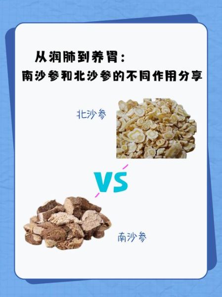 南沙参和北沙参的区别图片_哪个更适合煲汤-第1张图片-山城妙识 南沙参和北沙参的区别图片_哪个更适合煲汤-第1张图片-山城妙识