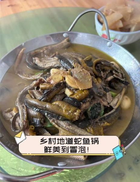 蛇鱼怎么做好吃_蛇鱼做法大全-第1张图片-山城妙识