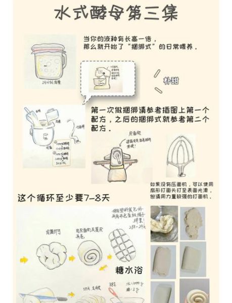 酵母粉发酵一般要多久时间_如何判断发酵完成-第1张图片-山城妙识 酵母粉发酵一般要多久时间_如何判断发酵完成-第1张图片-山城妙识