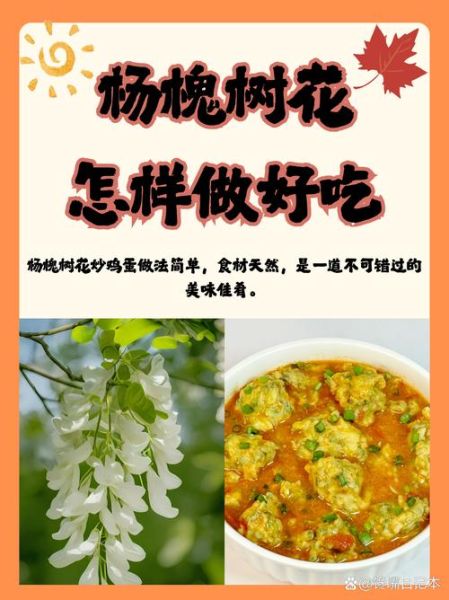 洋槐花的功效与作用_洋槐花怎么吃最好-第1张图片-山城妙识