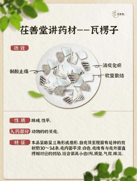 煅瓦楞子功效与作用_煅瓦楞子禁忌有哪些-第2张图片-山城妙识