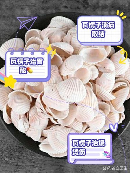 煅瓦楞子功效与作用_煅瓦楞子禁忌有哪些-第3张图片-山城妙识