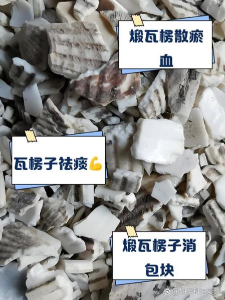 煅瓦楞子功效与作用_煅瓦楞子禁忌有哪些-第1张图片-山城妙识