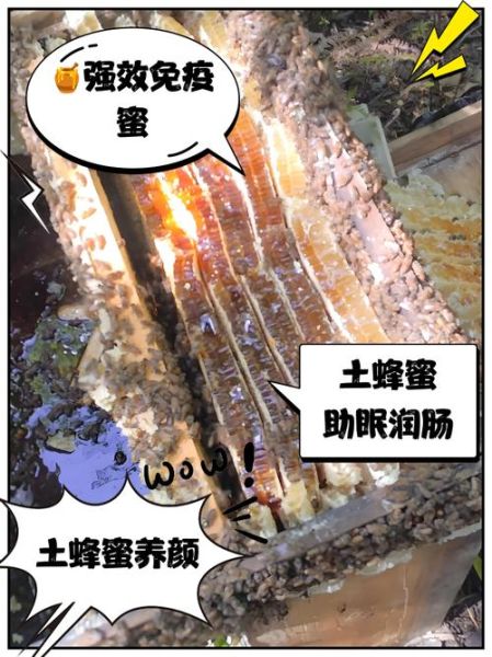 土蜂蜜的功效与作用_土蜂蜜怎么吃效果最好-第2张图片-山城妙识
