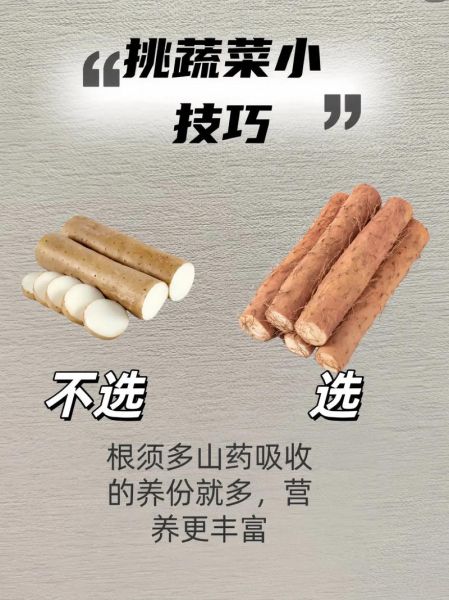 山药图片大全_山药怎么挑选才新鲜-第1张图片-山城妙识